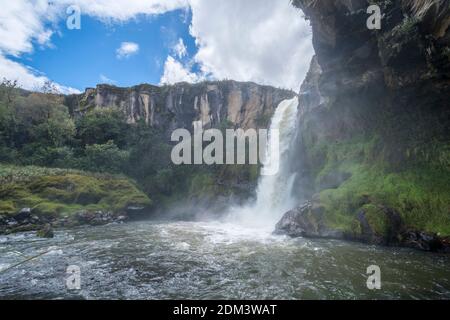 a stream of rushing water in the Ecuadorian Amazonian rainforest ...