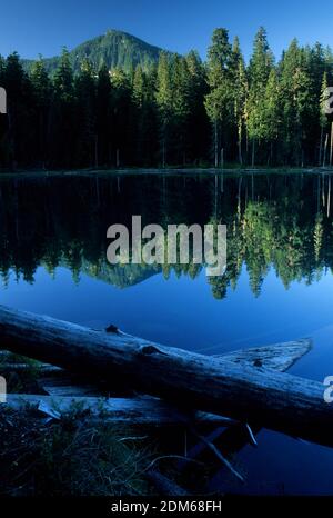 Parrish Lake, Willamette National Forest, Oregon Stock Photo - Alamy
