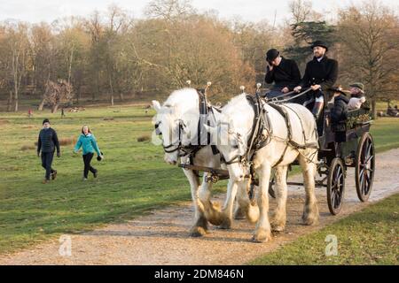 Coachmen and a family day out behind a horse-drawn carriage in Richmond ...