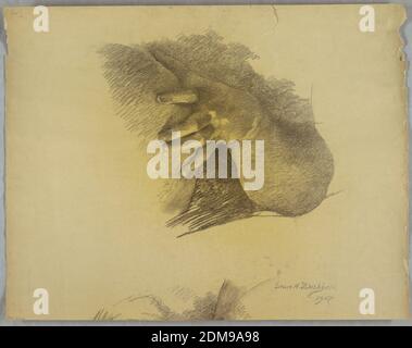 Drawing, Study of Arm and Hand, 1907 Stock Photo - Alamy
