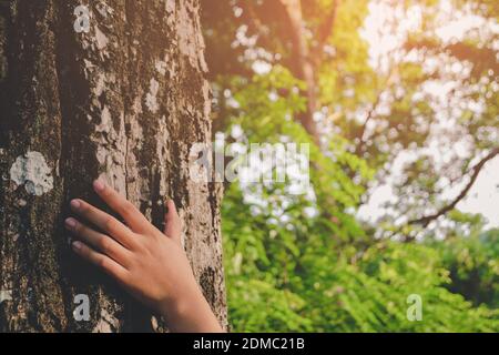 Hand placed on the trunk of a big tree with fingers extended ...