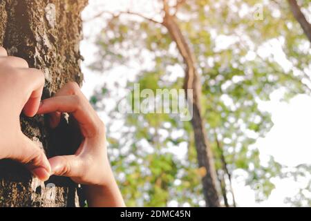 Hand placed on the trunk of a big tree with fingers extended ...