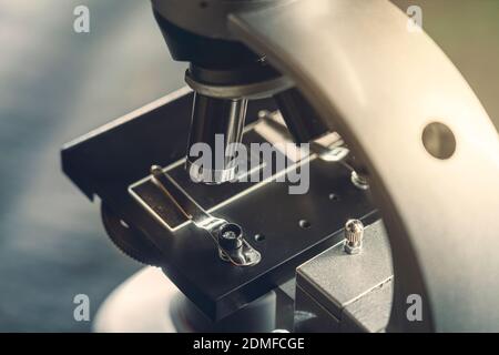 Microscope styled close up view of human skin and hair roots Stock ...