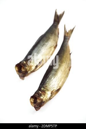 SMOKED HERRING OR BOUFFI BLOATER clupea harengus AGAINST WHITE ...