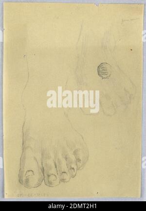 Study of a left foot Stock Photo - Alamy