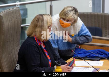 Flemish parliament chairwoman Liesbeth Homans and Flemish Minister ...