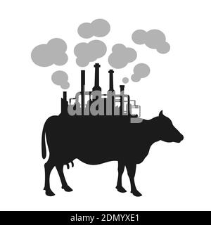 Cow fart - animal is producing greenhouse gas and methane. Cattle and ...