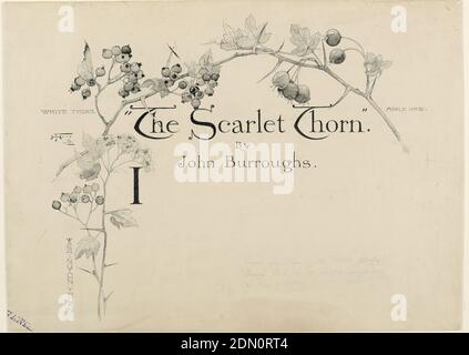 thorn letter r Stock Photo - Alamy