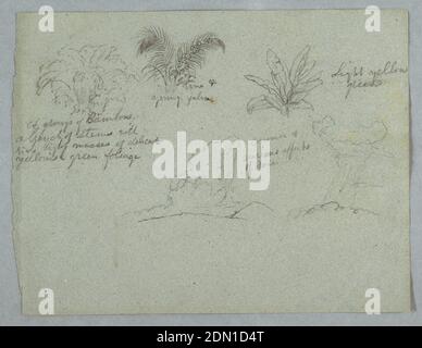 Drawing, Bamboos, Vine and a Young Palm, Plant, and Two Scenes of Rain ...