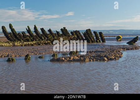 The wooden remains of the wreck of the Norwegian barque SS Nornen (1897 ...