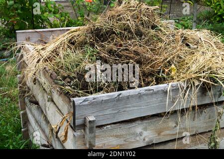 Old dry grass composting weeds garden wooden waste composter compost ...