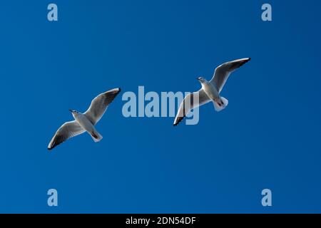 Spread the peace. Low angle shot of a group of people joining their ...