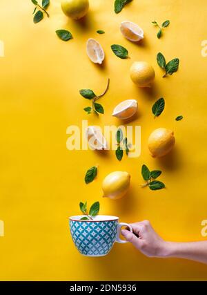 a lemon held in one hand on a transparent background Stock Photo - Alamy