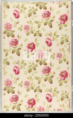 Sidewall, William H. Mairs and Company, Brooklyn, New York, Machine ...