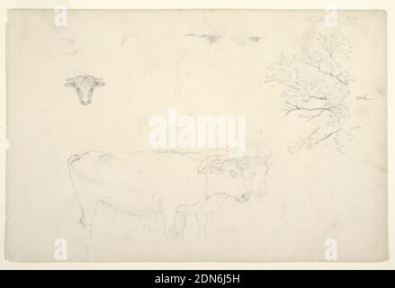 Two yoked oxen Stock Photo - Alamy