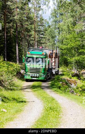 Forest road for forestry vehicles on a sunny day in a mixed forest ...