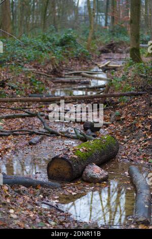 man-made obstacles in a ditch to retain the water as long as possible ...