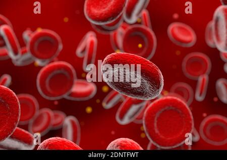 Vascular system, illustration Stock Photo - Alamy