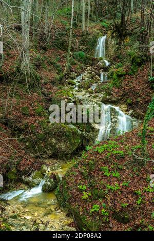 a beautiful mountain stream flows among stones and rocks Stock Photo ...