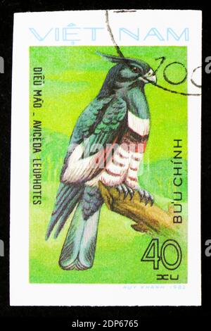 The image of black baza (Aviceda leuphotes) was taken in Darjleeing ...