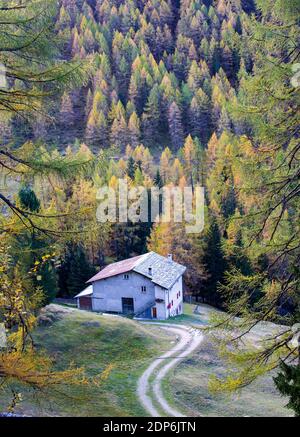 Little gold color stone on with a background Stock Photo - Alamy