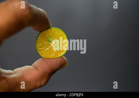 cross section cut of human body cells under a scientific microscope ...