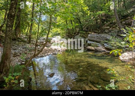 jumping stream to swimming. Stream in Ida Mountain, Beautiful nature ...