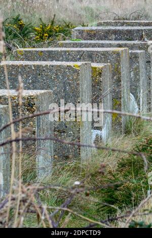 lines of anti-tank blocks, Minsmere, Concrete Military Tank Trap Stock ...
