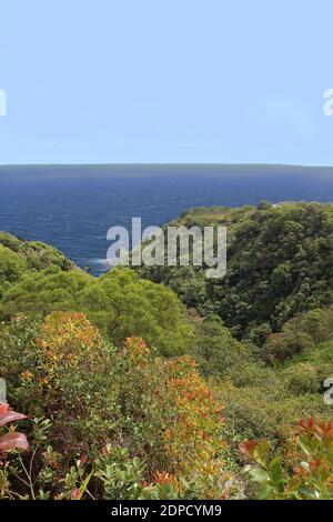 A scenic outlook overlooking a canopy of trees leading to the Pacific ...