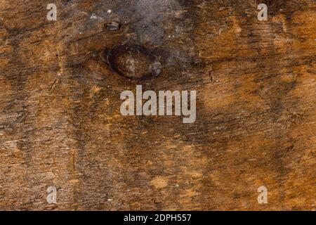 Knot Hole - Wood Texture Stock Photo - Alamy