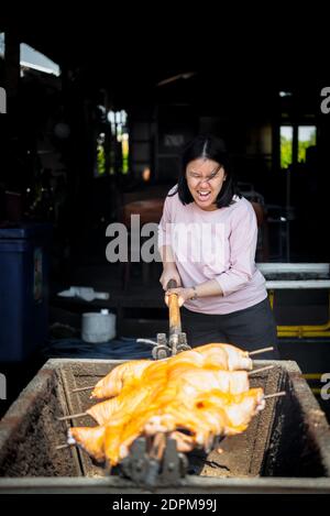 Woman and spit roast fire Stock Photo - Alamy