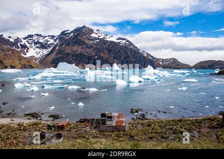 Ice from iceberg A-38 in Godthul harbor, South Georgia Island Stock ...