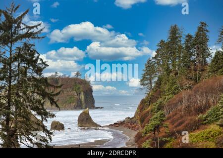 Ruby Beach, Washington State, United States, Pacific Ocean Stock Photo ...