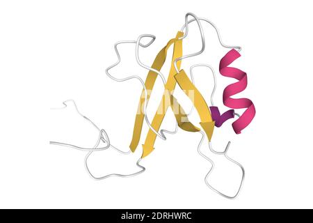 A 3D cartoon model of the human CD4 glycoprotein, white background ...