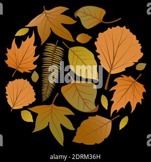 A collection of different dry autumn leaves. Tree leaves in autumn ...