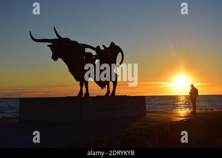 Legend in which Pasiphae fell in love with the white bull that Poseidon ...