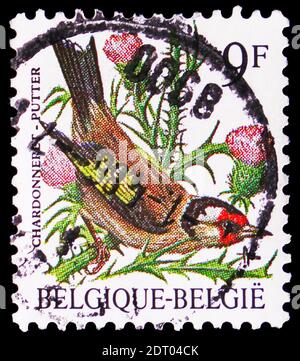 This image shows the European goldfinch (Carduelis carduelis) and the ...