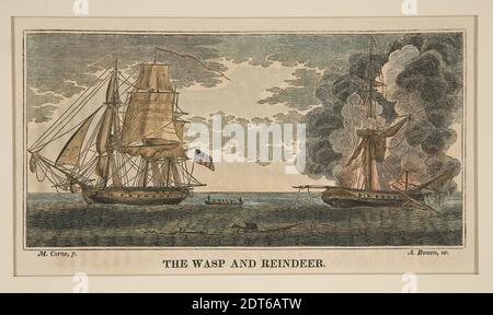 The wasp and reindeer Stock Photo - Alamy