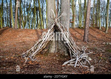 Stick shelter in the forest a wigwam style hut or den made by kids ...