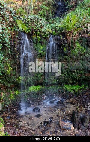 The Dripping Well, Fairlight Glen, Hastings Country Park, East Sussex ...