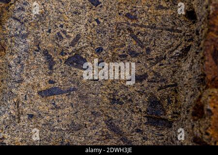 Lithic Sandstone (Sedimentary Rock Stock Photo - Alamy