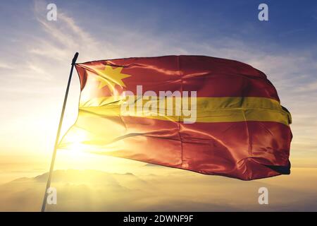 Toa Alta, municipality of Puerto Rico. High resolution satellite map ...