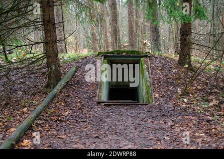 entrance to military dugout in the forest Stock Photo - Alamy