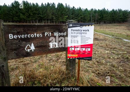 Forestry operations health and safety/ danger warning sign Stock Photo ...