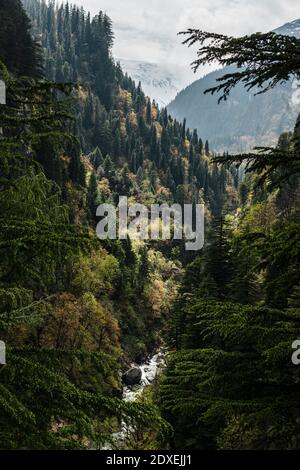 A vertical shot of a river flowing through a valley with green pine ...