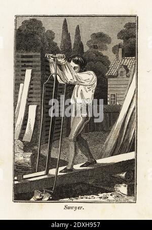 SAWYERS AT WORK Stock Photo - Alamy