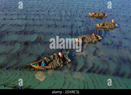 Aerial photo shows the marine ranch in Weihai City, east China's ...