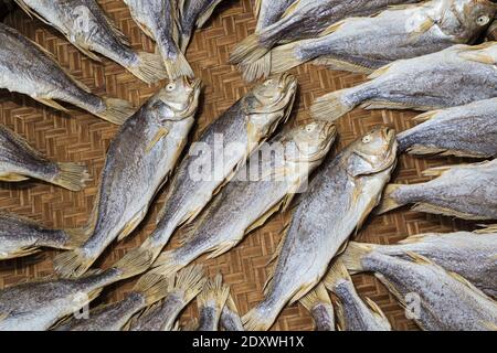 Macau Dried Fish On Display China Stock Photo - Alamy