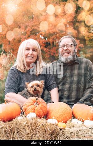 Senior couple with pumpkins in autumn forest Stock Photo - Alamy