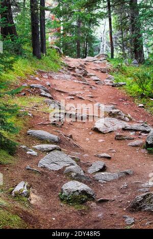 hiking trial in a forest Stock Photo - Alamy